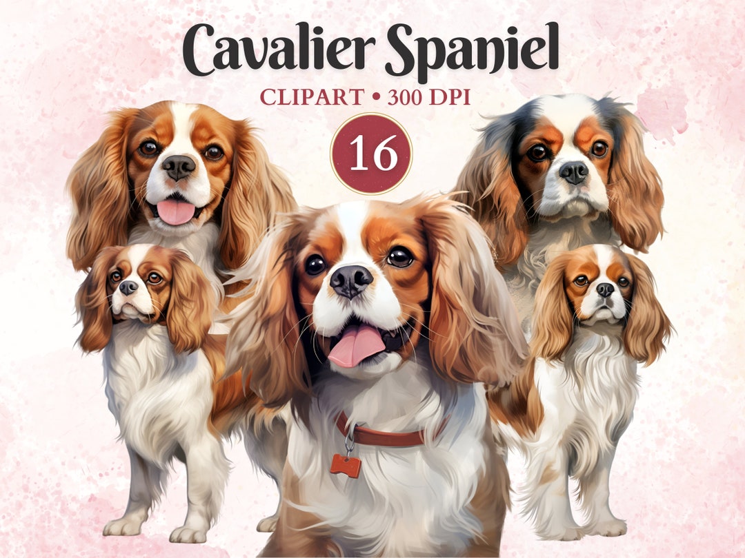 Cavalier Spaniel Clipart, King Charles Spaniel, Pet Graphics, Dog ...