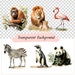 Zoo Animals Clipart, Zoo, Safari Clipart, Giraffe Silhouette, Monkey Png, Elephant Png, Leopard ...