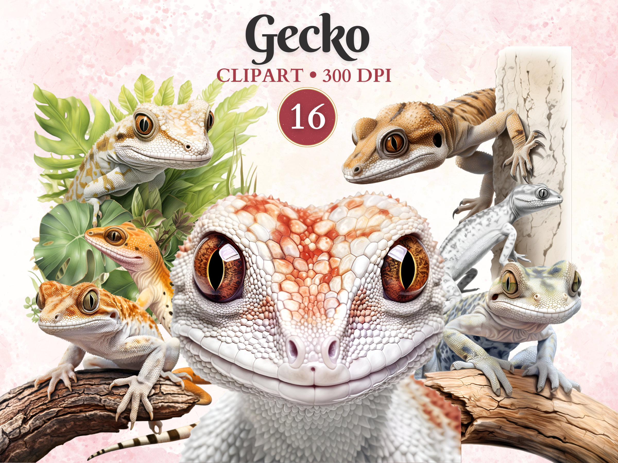 Gecko Clipart, Gecko Png, Lizard Clipart, Lizard Png, Lizard Silhouette ...