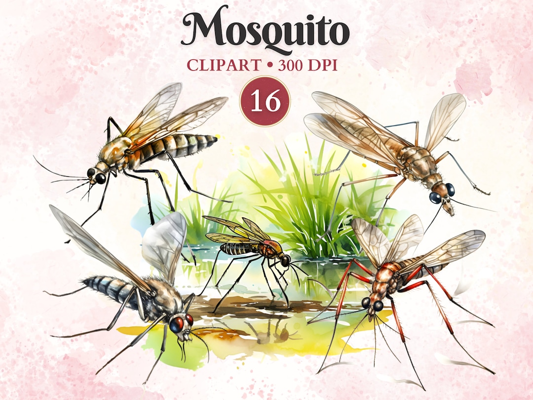Mosquito Clipart, Mosquito Png, Insect Clipart, Silhouette, Entomology ...