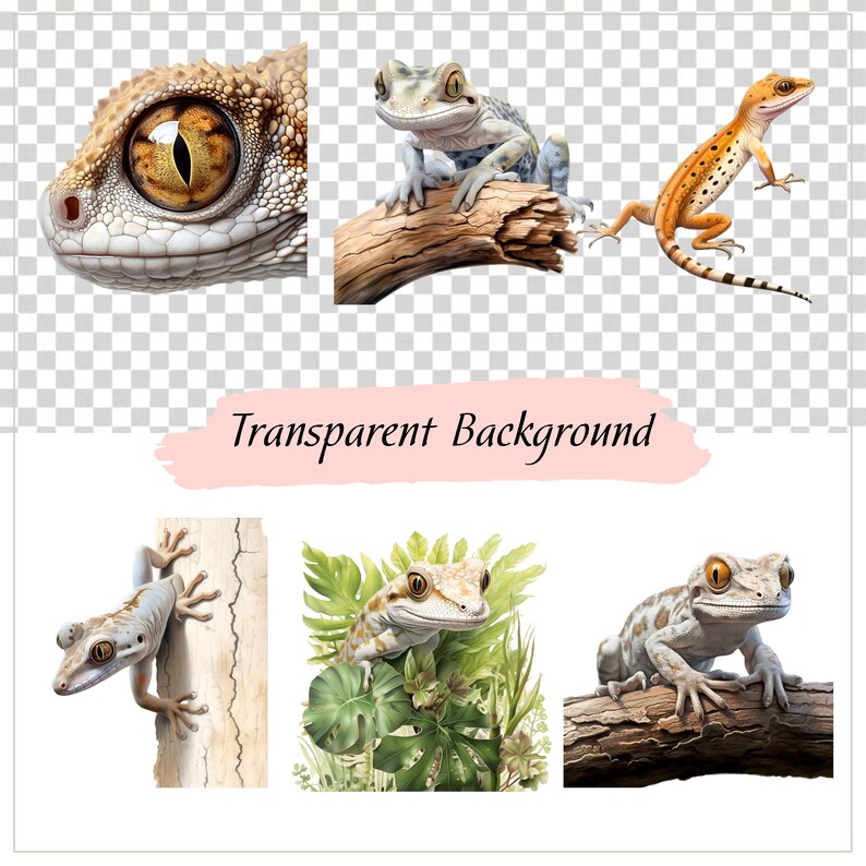 Gecko Clipart, Gecko Png, Lizard Clipart, Lizard Png, Lizard Silhouette ...