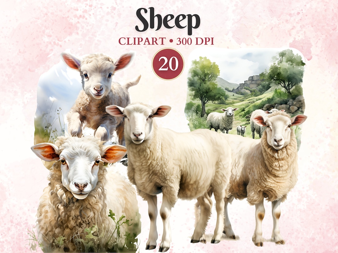 Sheep Clipart, Watercolor, Sheep Png, Sheep Vector, Farm Animal Clipart ...