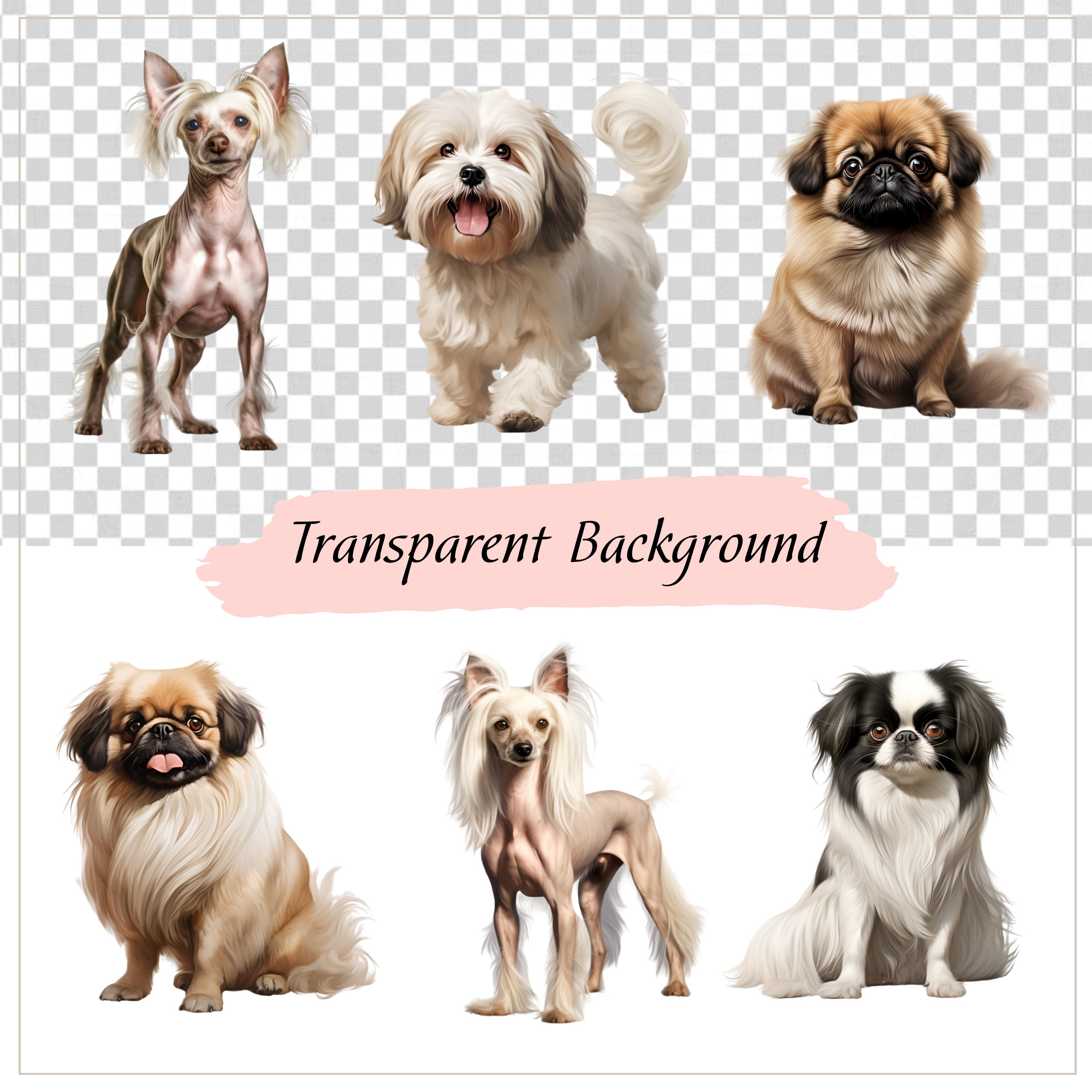 Dogs Breeds Clipart Bundle, Chinese Crested, Pekingese Dog, Japanese ...