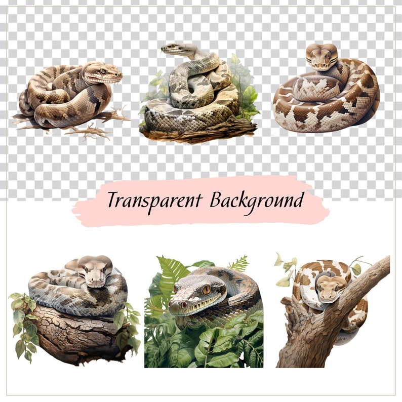 Boa Clipart, Boa Png, Snake Clipart, Snake Png, Serpent Silhouette ...