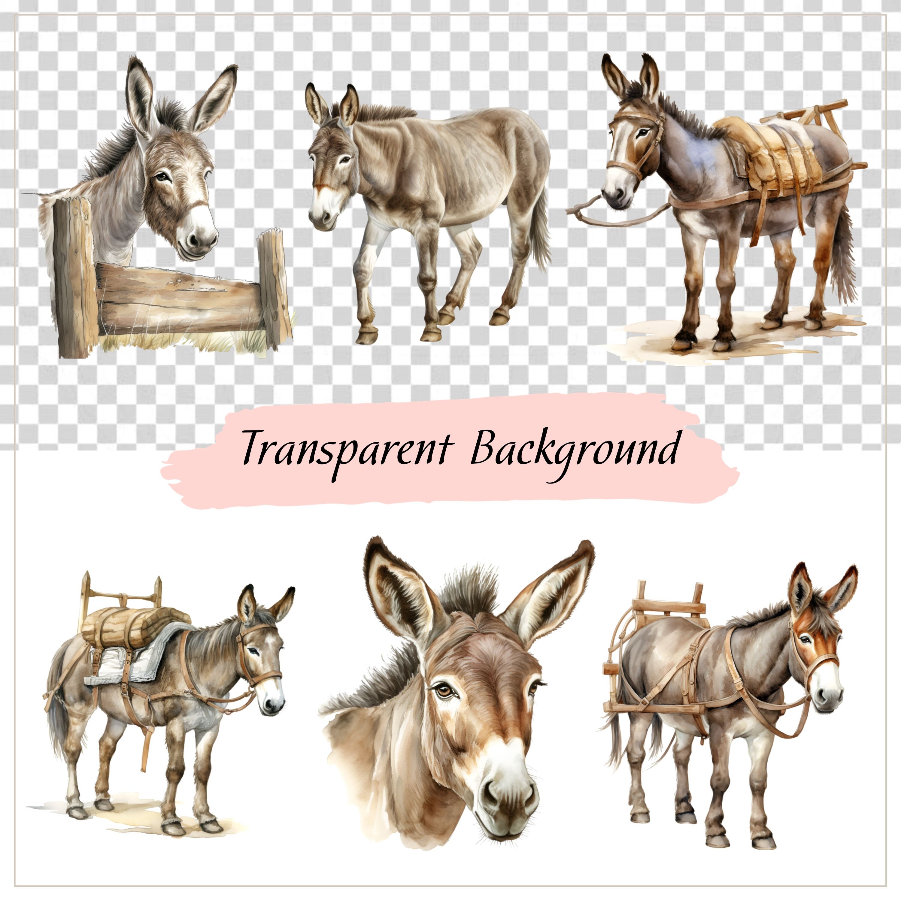 Donkey Clipart, Donkey Png, Donkey Silhouette, Mule Clipart, Donkey ...