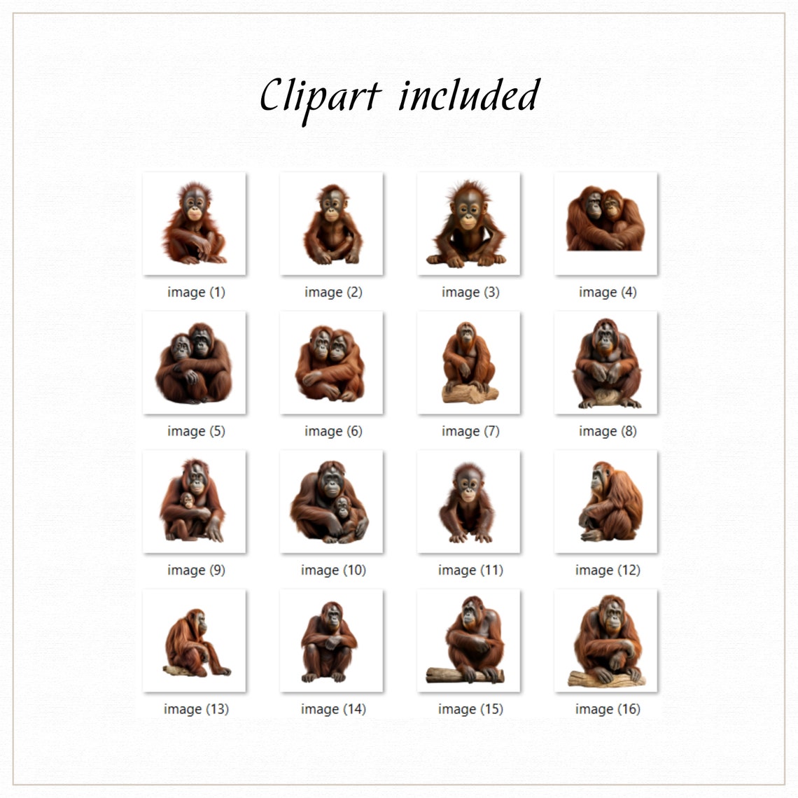 Orangutan Clipart, Monkey, Orangutan Png, Jungle Animals, Forest ...