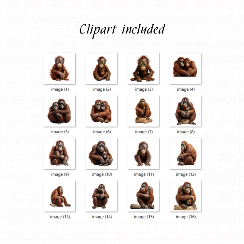 Orangutan Clipart, Monkey, Orangutan Png, Jungle Animals, Forest ...