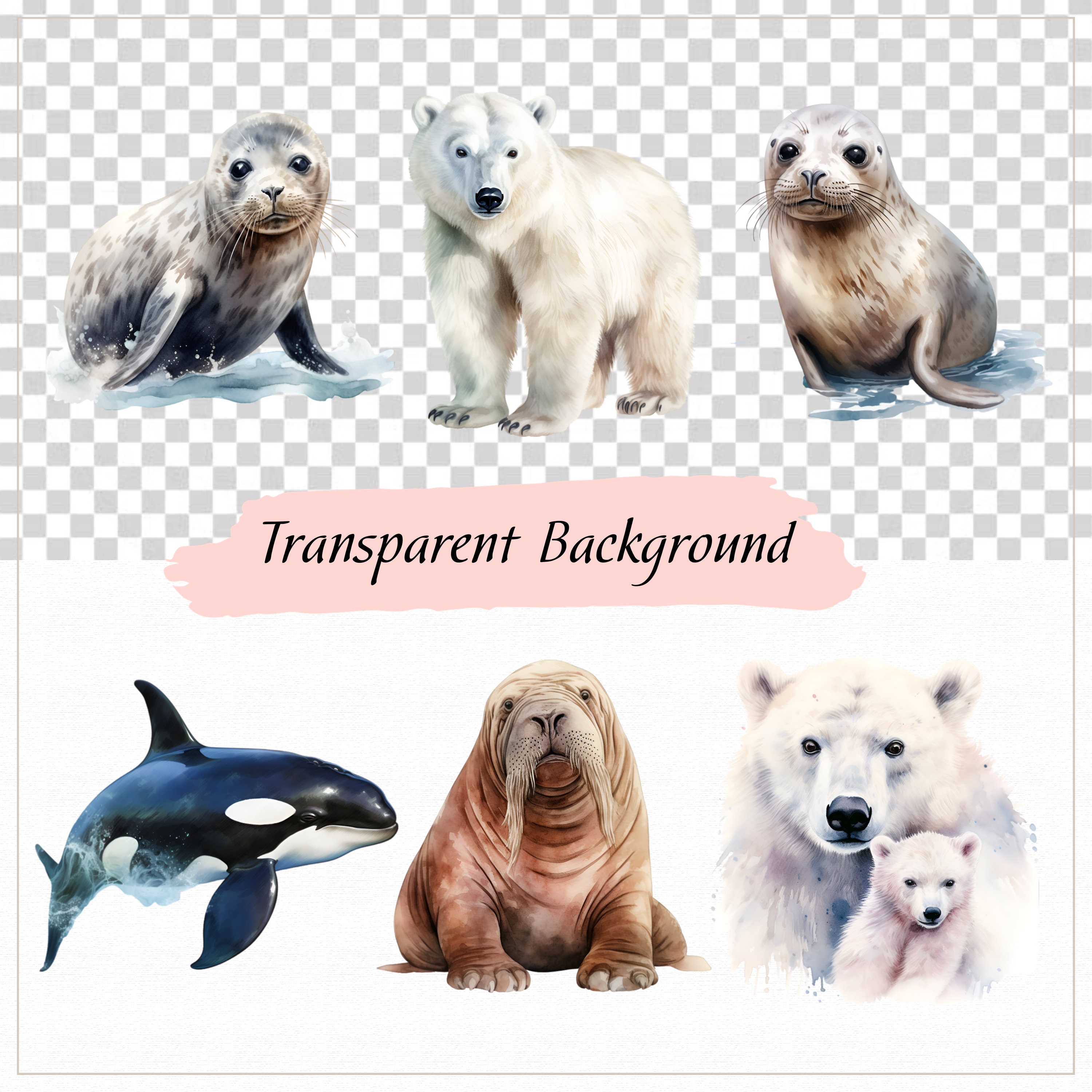 Arctic Animals Clipart Bundle, North Pole, Polar Bear, Walrus, Seal ...
