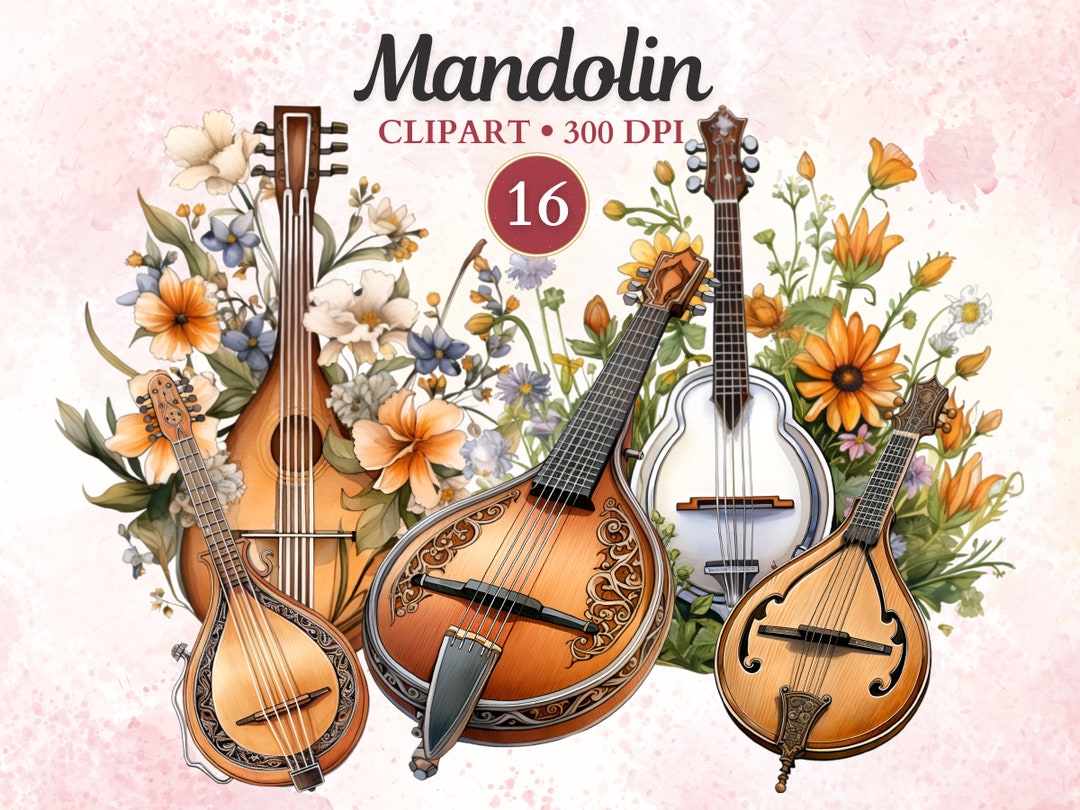 Mandolin Clipart, Mandolin Png, Musician, String Instrument, Musical ...