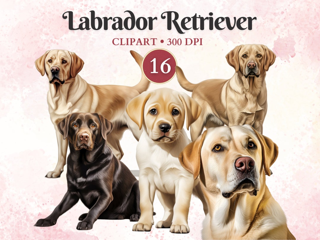 Labrador Retriever Clipart, Dog Silhouette Clip Art, Pet Graphics ...