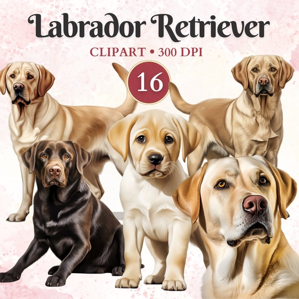 Brown Lab Clip Art - Etsy