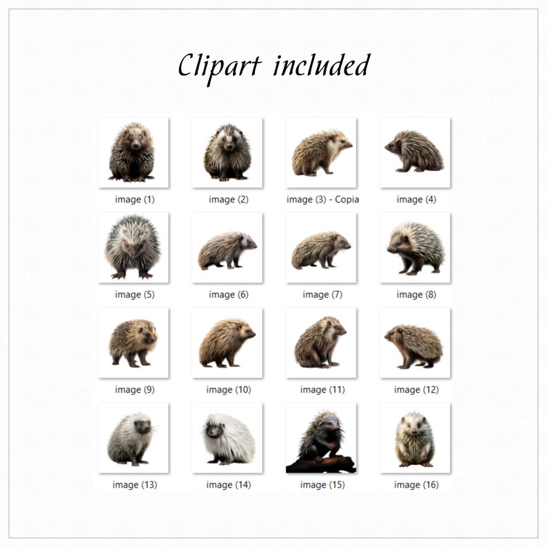 Porcupine Clipart, Wild Animals, Porcupine Silhouette, Wildlife Clipart ...