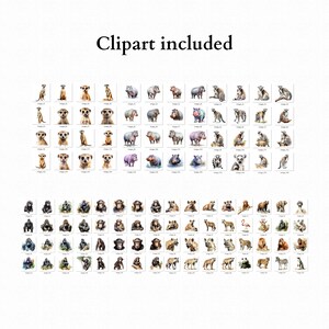 Zoo Animals Clipart Bundle, Lion, Zebra, Monkey, Giraffe, Hippo ...