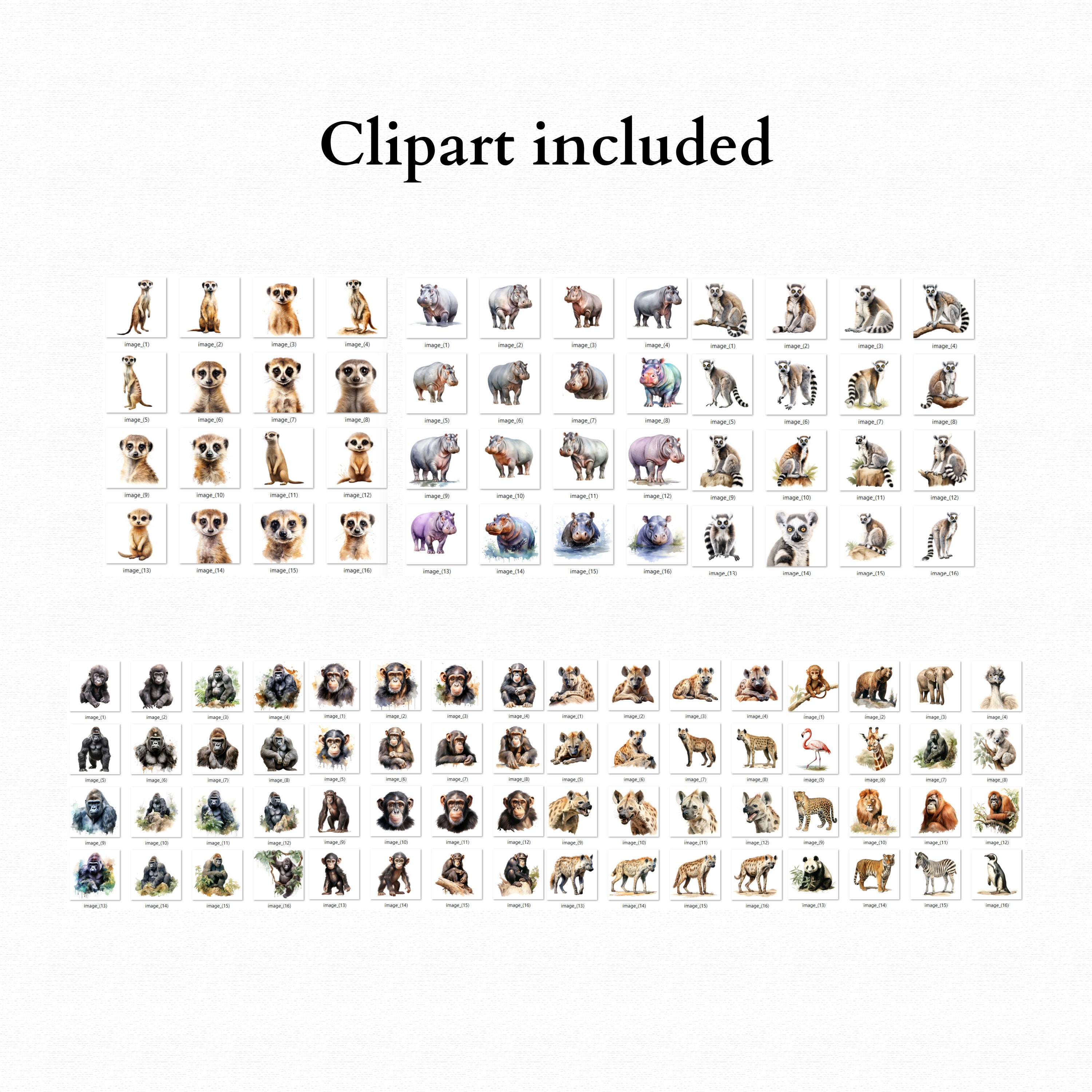 Zoo Animals Clipart Bundle, Lion, Zebra, Monkey, Giraffe, Hippo ...