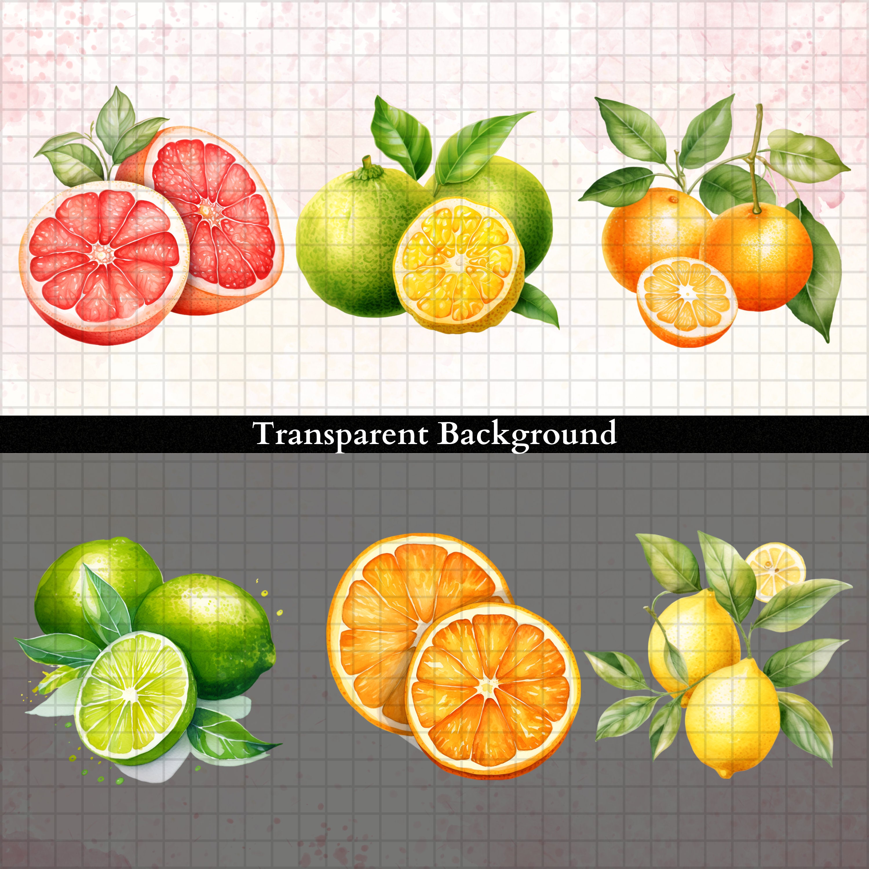 Citrus Clipart Bundle, Set, Lemon Clipart, Orange Branches, Lime Png ...
