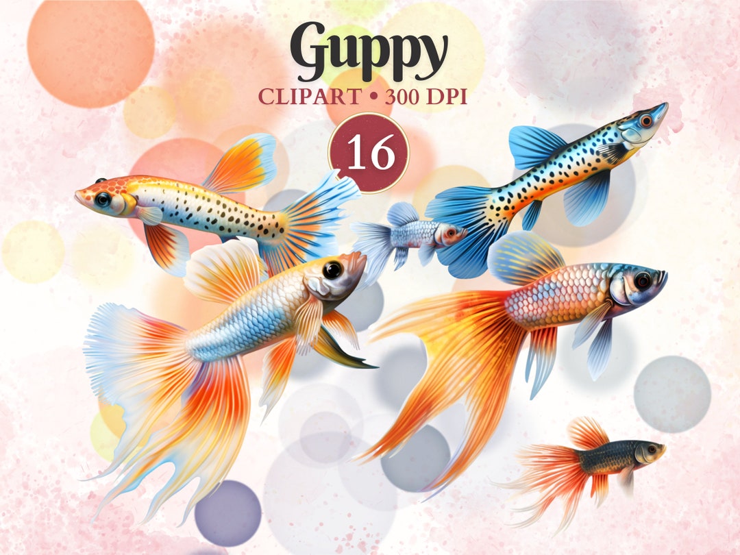 Guppy Clipart, Fish Png, Fish Digital Clipart, Aquarium, Vector ...