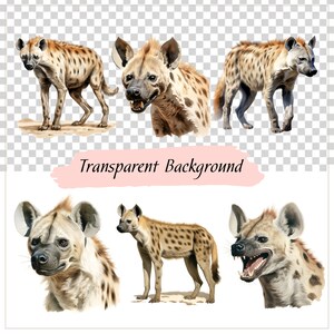 Hyena Clipart, Safari Clipart, Zoo Animals Clipart, Savannah, African ...