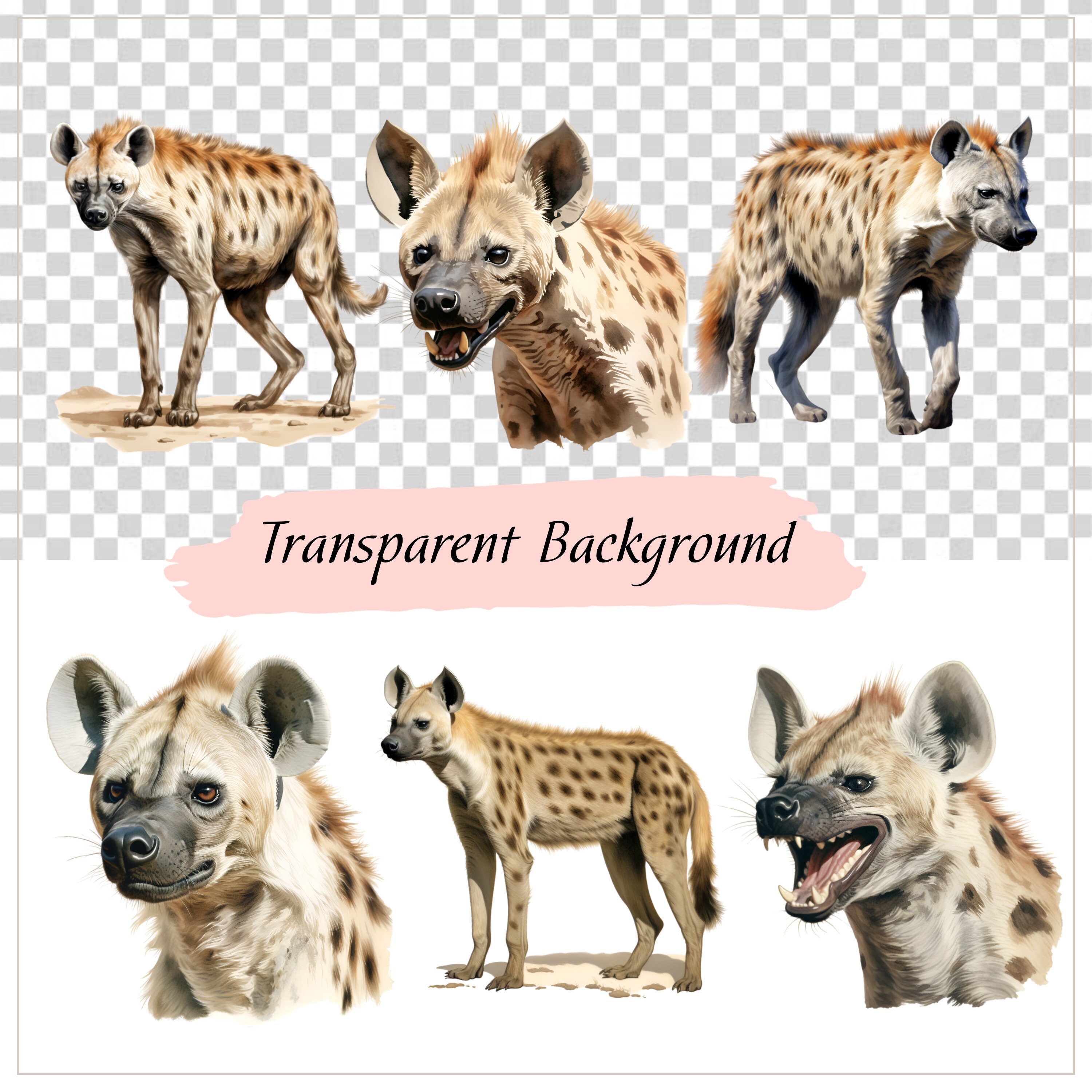 Hyena Clipart, Safari Clipart, Zoo Animals Clipart, Savannah, African ...