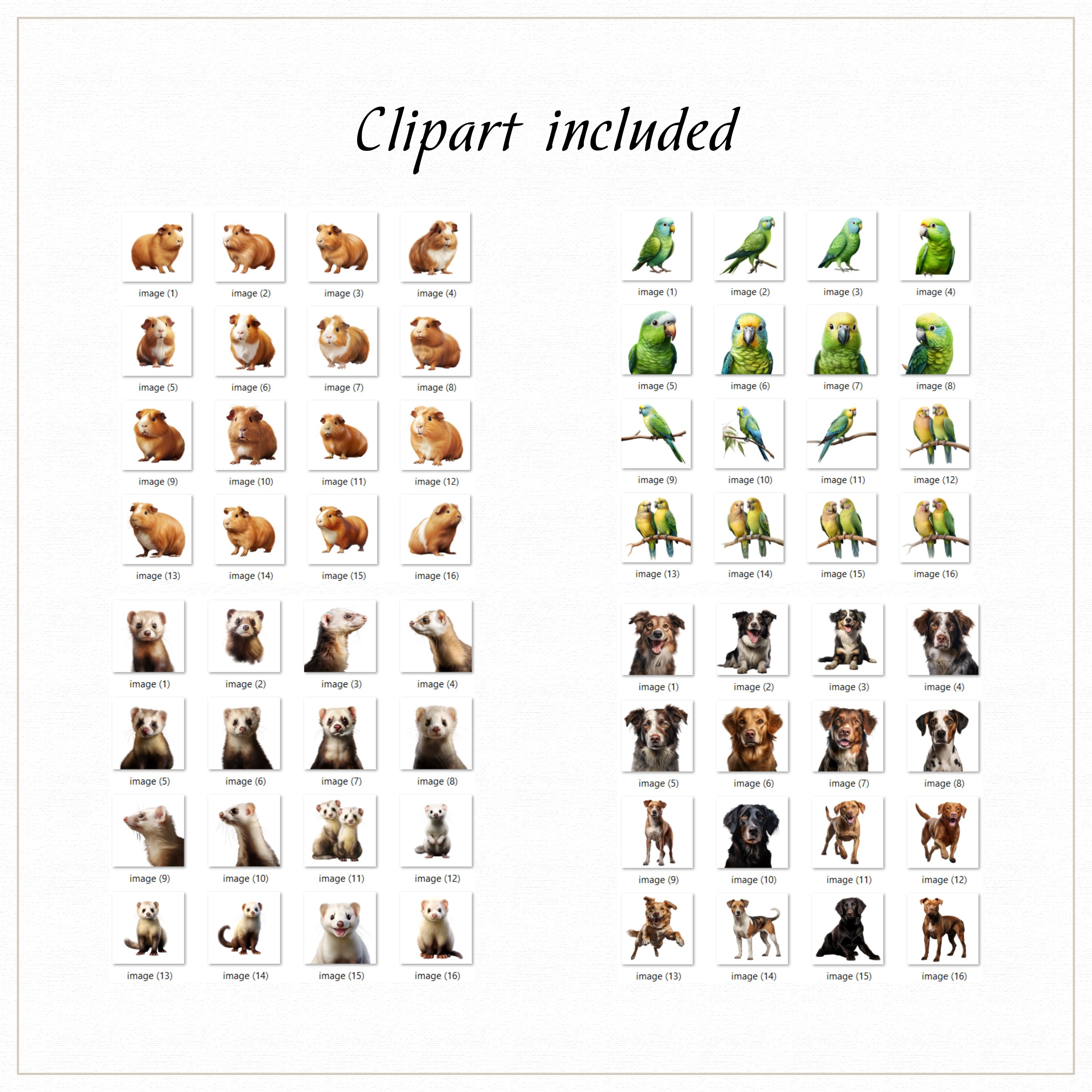 Domestic Animals Clipart Bundle, Cute Guinea Pig, Dog Clipart, Parakeet ...