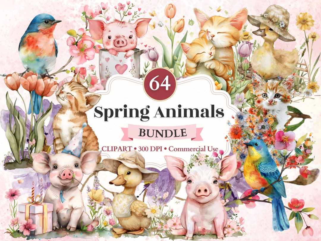 Spring Animals Clipart Bundle, Duckling Nursery, Pig Sublimation ...