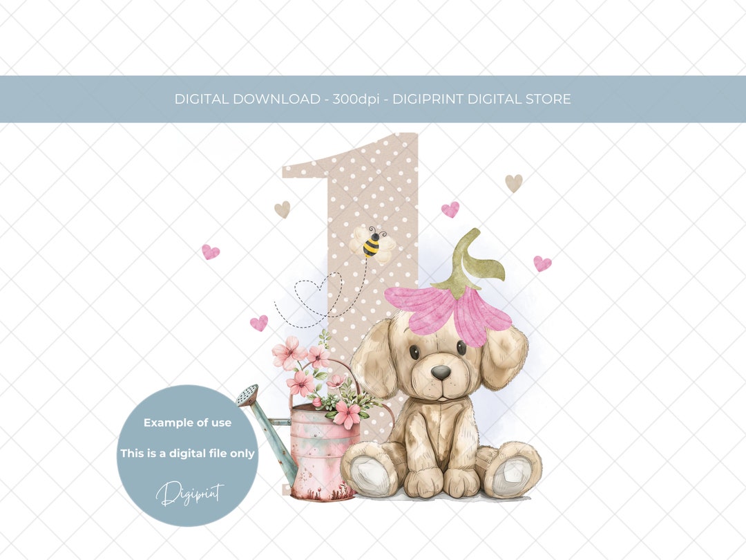 Babies First Birthday Number One 1st Birthday Image, First Birthday ...