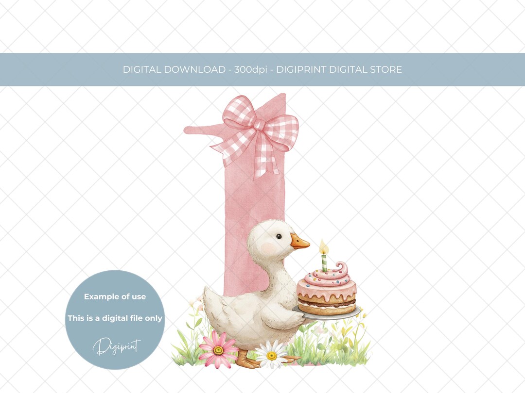 Cute Silly Goose 1st Birthday Digital PNG Clipart, Baby First Birthday ...