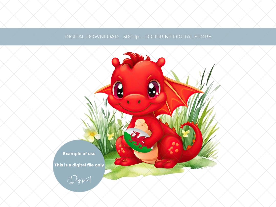 Babies Welsh Rugby Dragon Theme, Penblwydd Hapus, Welsh Rugby Dragon ...