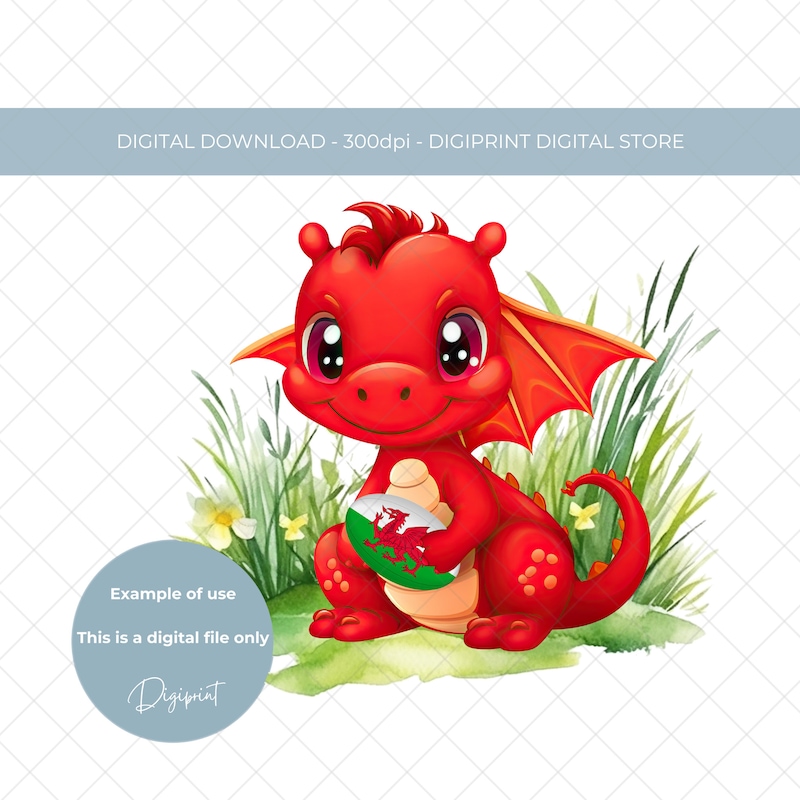 Welsh Dragon Clothing - Etsy UK