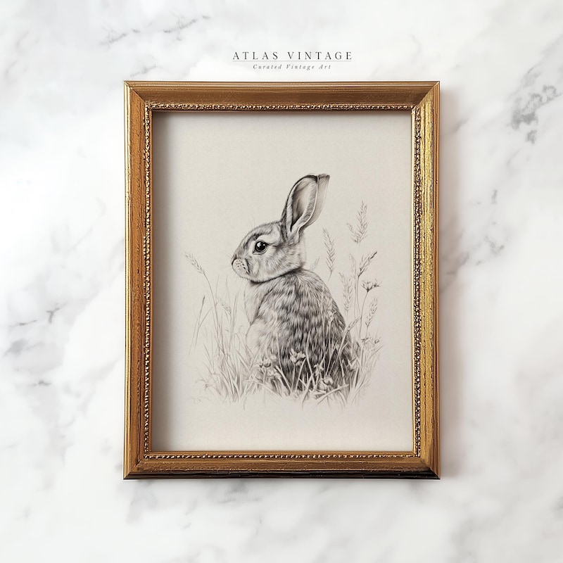 Bunny Picture Sketch - Etsy