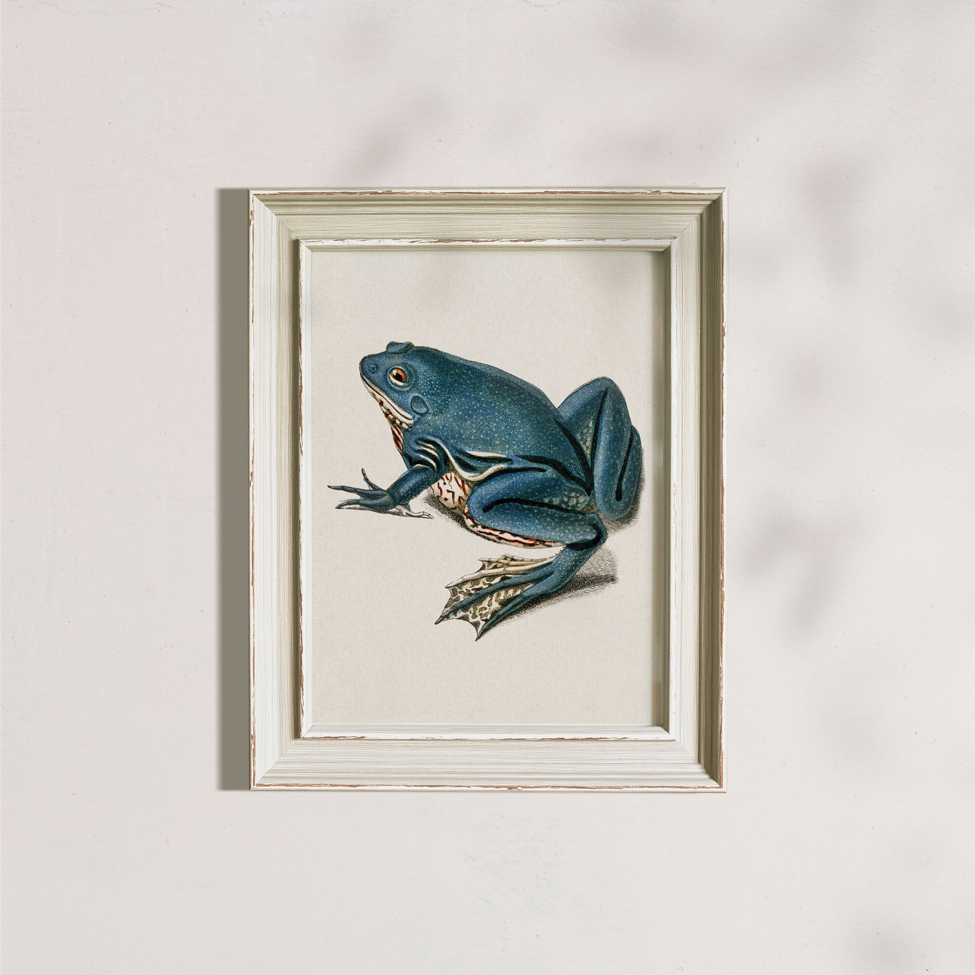 Vintage Frog Print Antique Toad Oil Painting Vintage Nursery Wall Decor ...