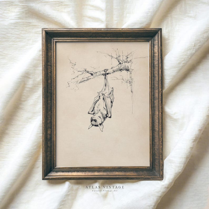 Vintage Bat Ink Sketch Print, Spooky Gothic Wall Art (digital Download ...