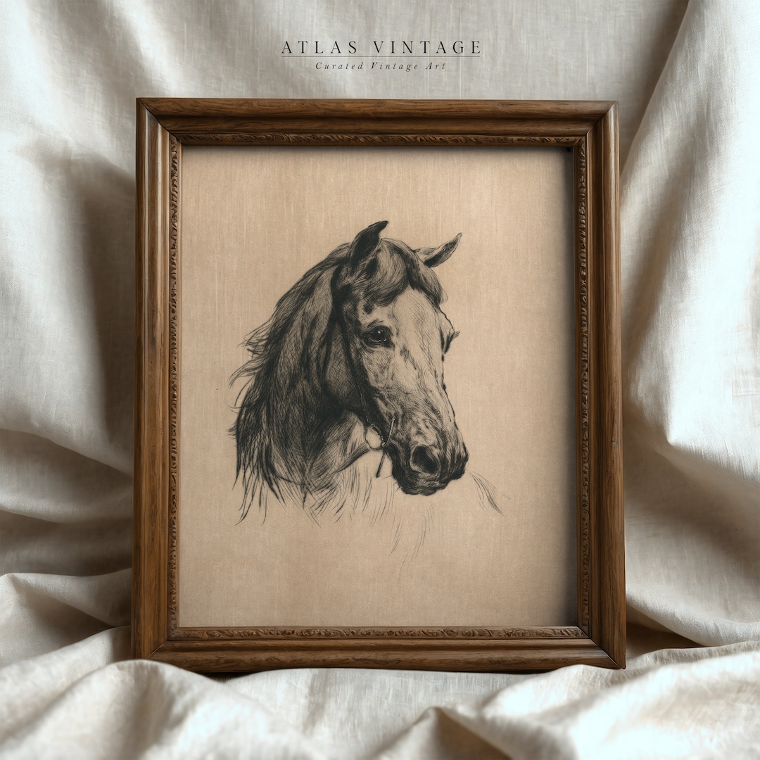 Vintage Horse Etching Sketch, Equestrian Wall Art Print, Farmhouse Animal Farm Drawing, Horse ...