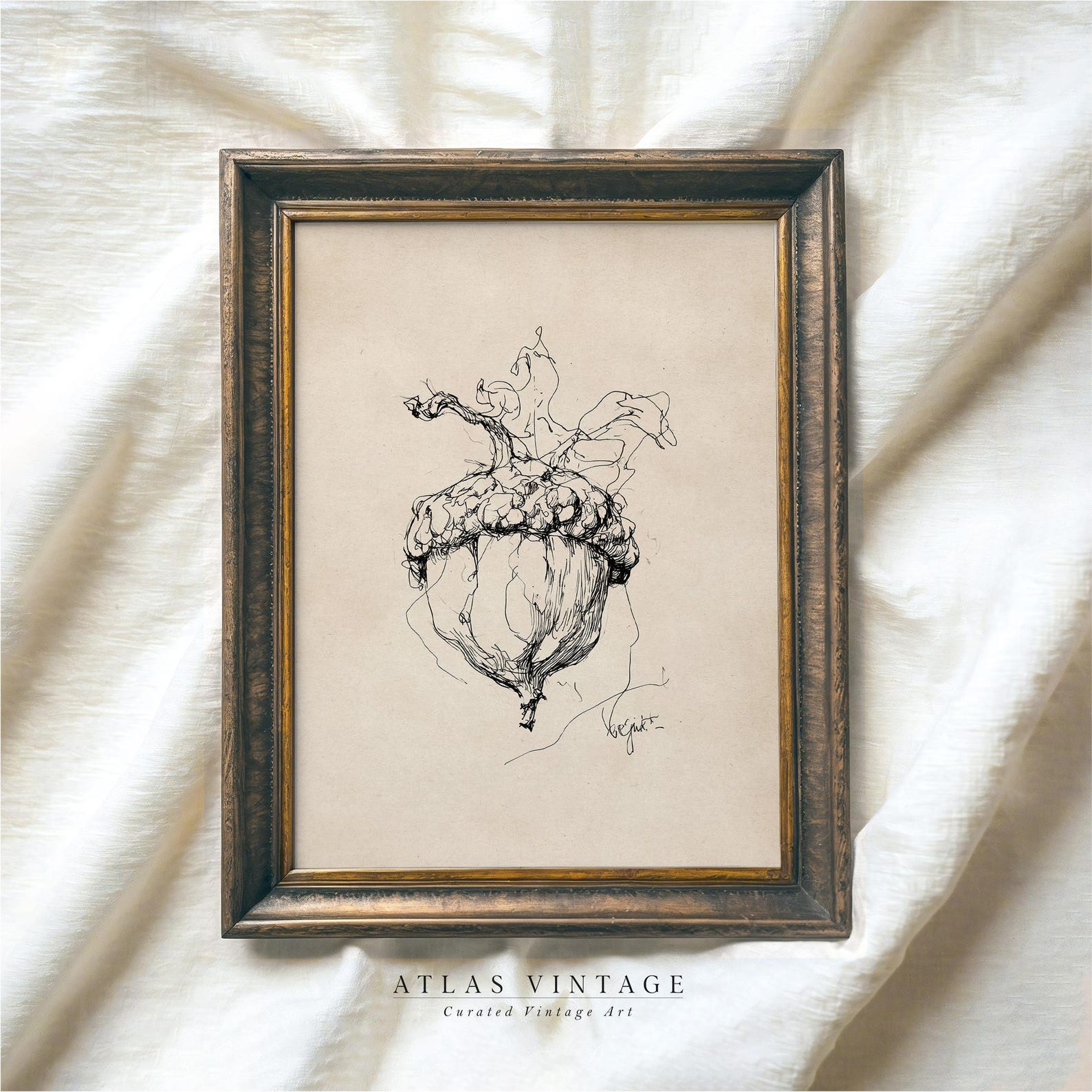 Vintage Acorn Sketch Print, Botanical Ink Drawing (digital Download) - Etsy