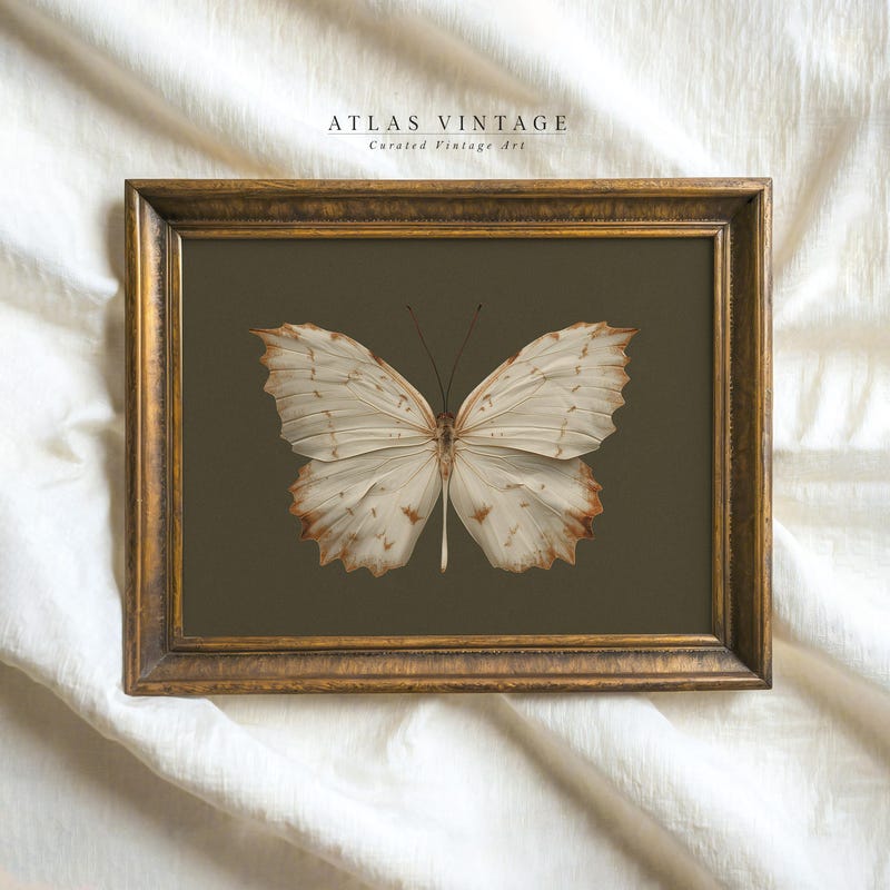 Butterfly Print Moody - Etsy