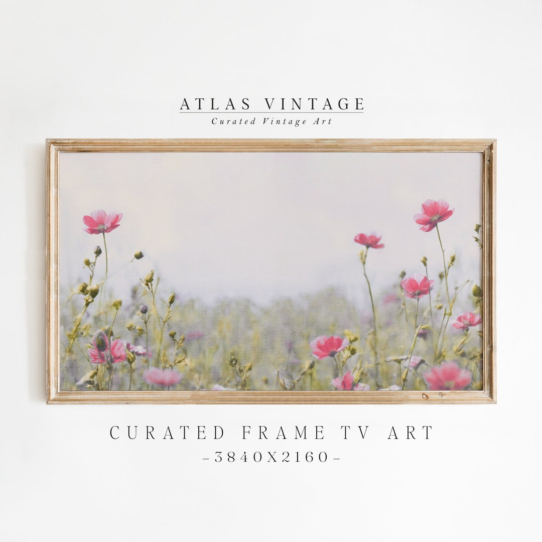 Pink Flower Field Landscape Frame Tv Art, Vintage Wildflower Meadow ...