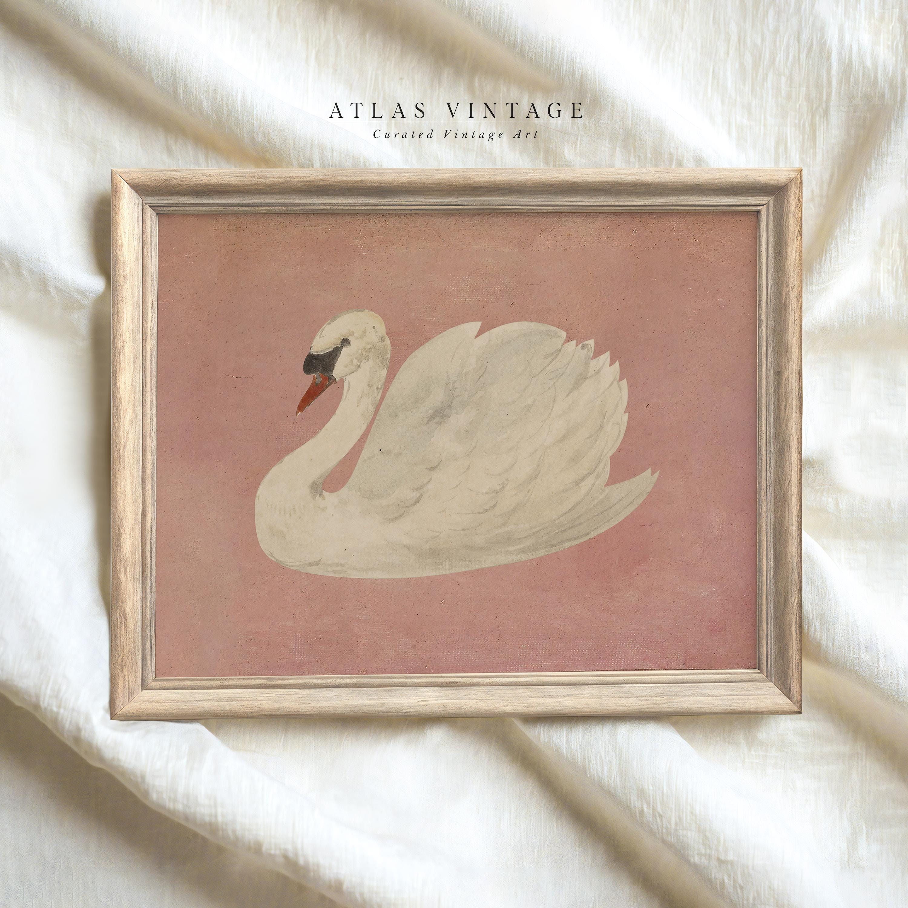 Vintage White Swan Print, Neutral Moody Bird Printable Wall Art ...
