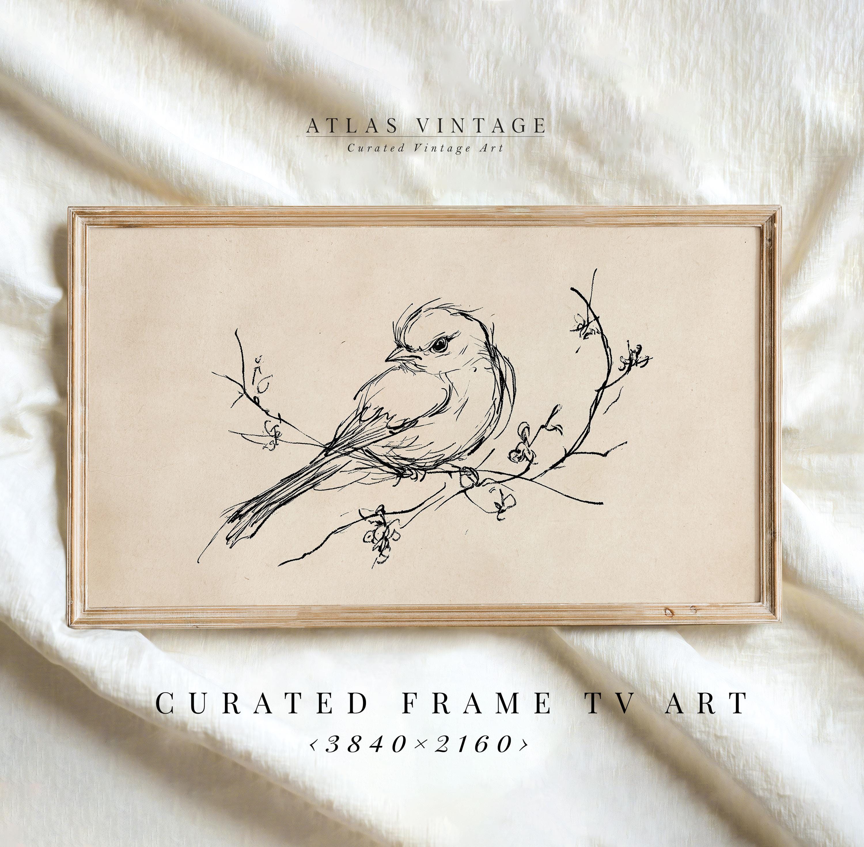Vintage Bird Sketch Frame TV Art: Minimalist Spring Line Drawing ...