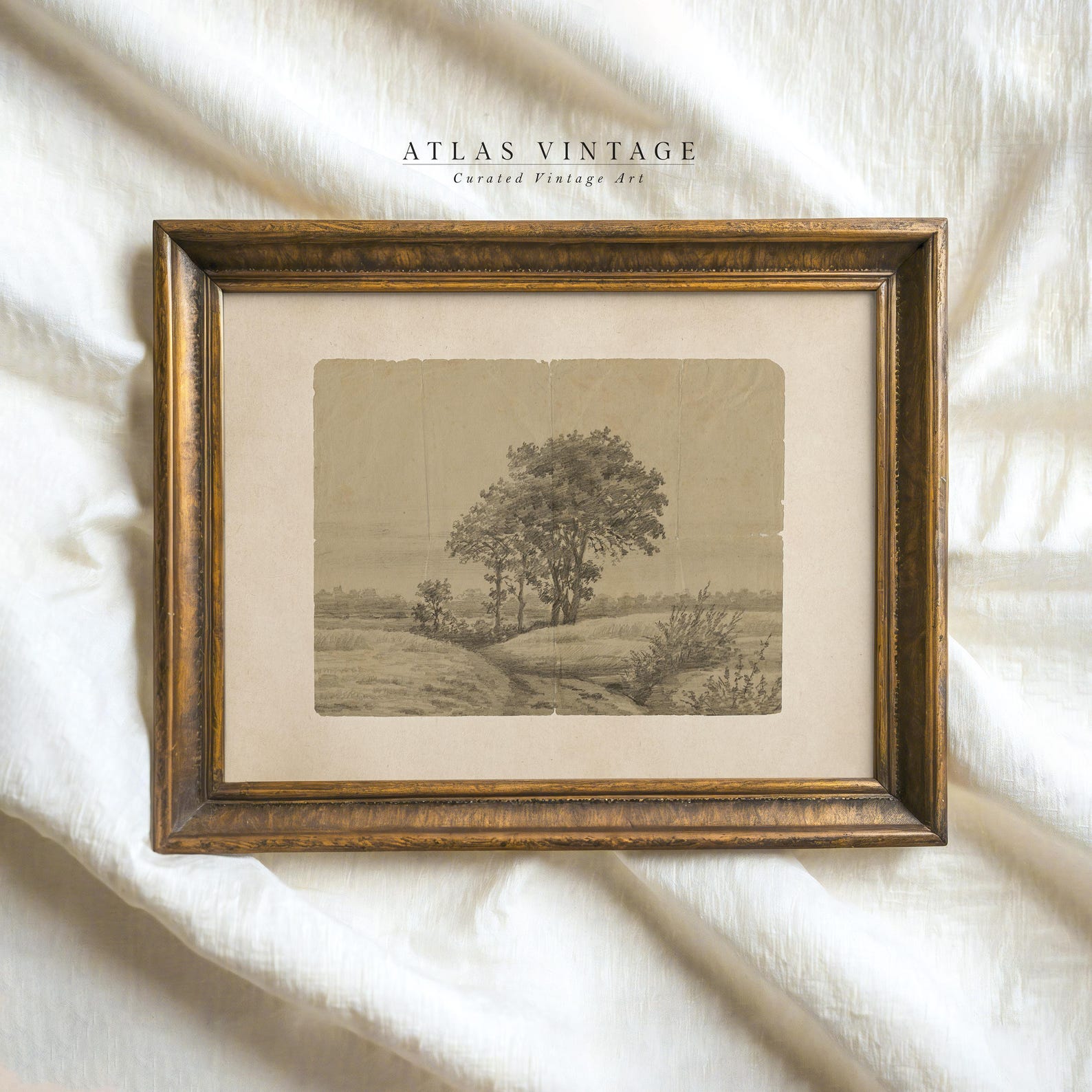 Vintage Tree Sketch Print, Antique Landscape Art (digital Download) - Etsy