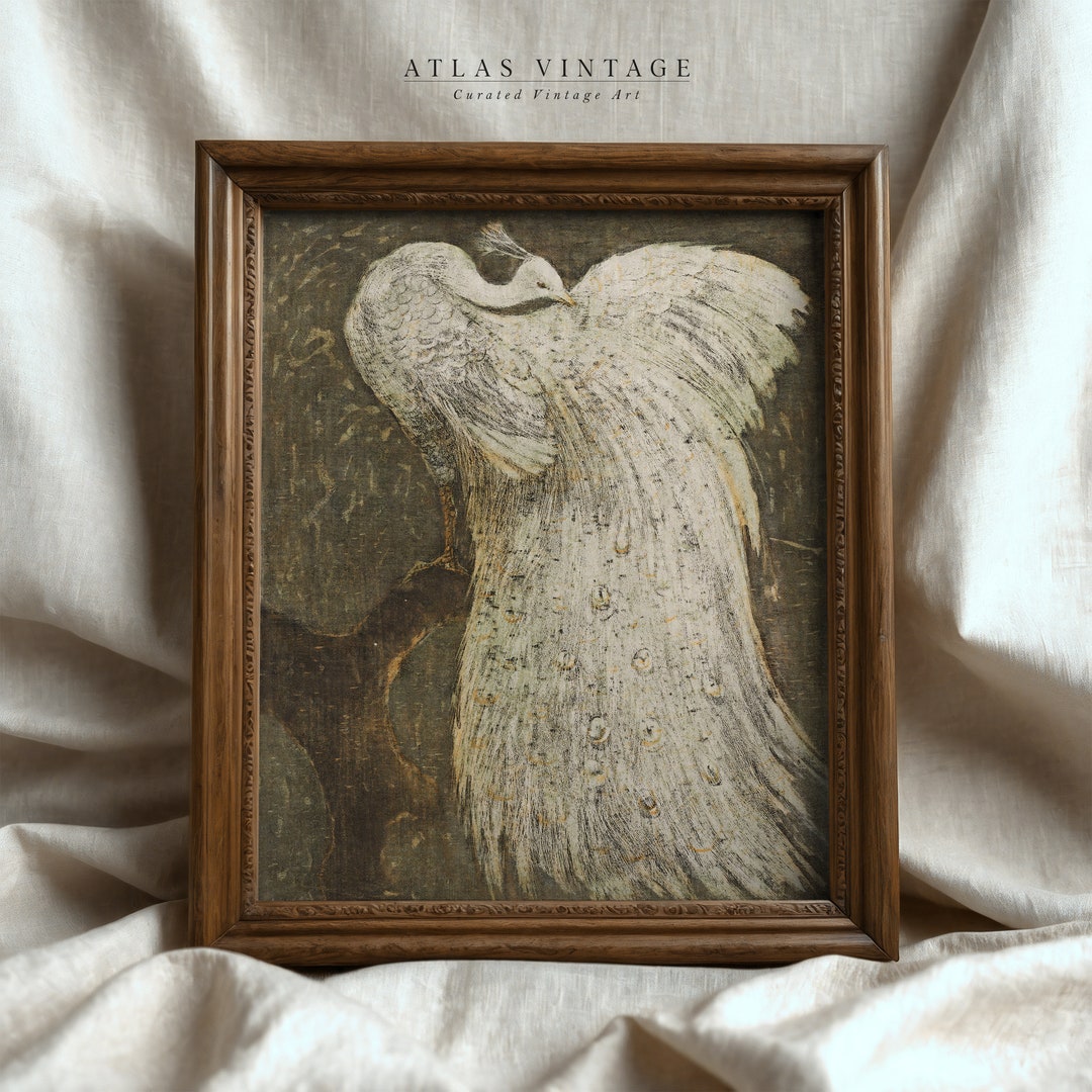 Vintage White Peacock Art Print, Antique Bird Poster (digital Download ...
