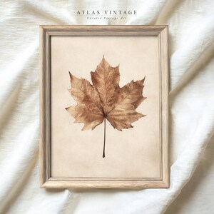 Vintage Fall Leaf Print | Neutral Rustic Farmhouse Autumn Decor | Maple ...