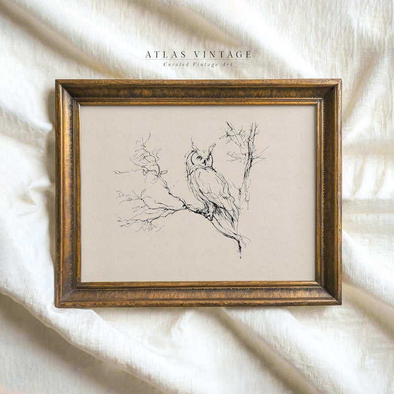 Easy Drawing of Owl - Etsy UK