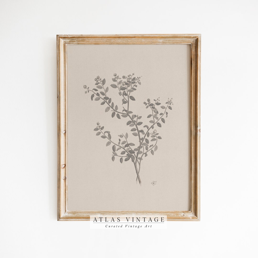 Rustic Botanical Print | Vintage Floral Wall Art (digital Printable) - Etsy