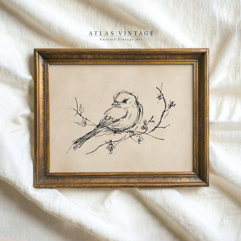 Vintage Birds Sketch Art - Etsy UK