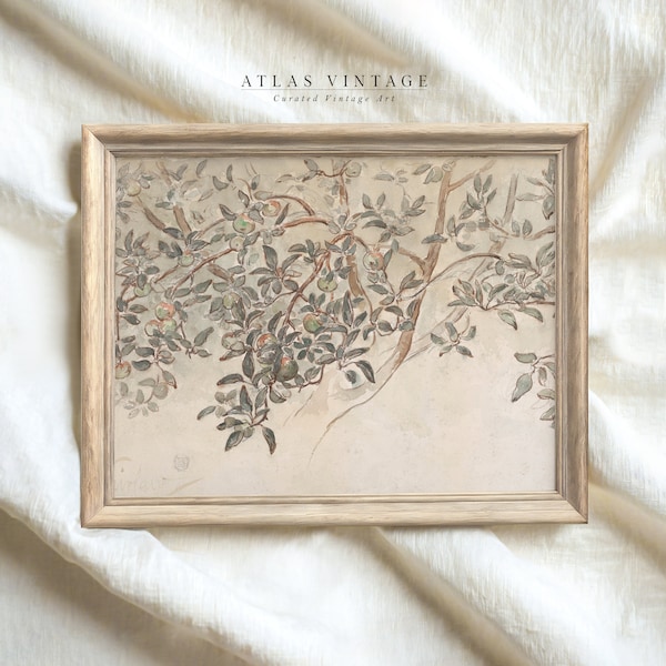 Rural Kitchen Drawings - Etsy UK