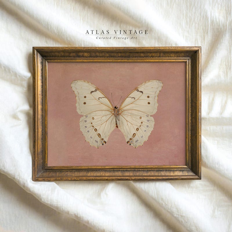 Pink Moth Prints - Etsy