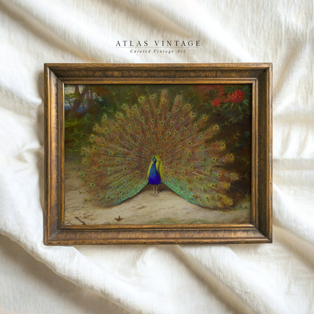 Vintage Peacock Oil Painting Print | Cottagecore Farmhouse Wall Art ...