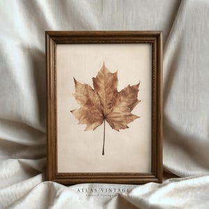 Vintage Fall Leaf Print | Neutral Rustic Farmhouse Autumn Decor | Maple ...