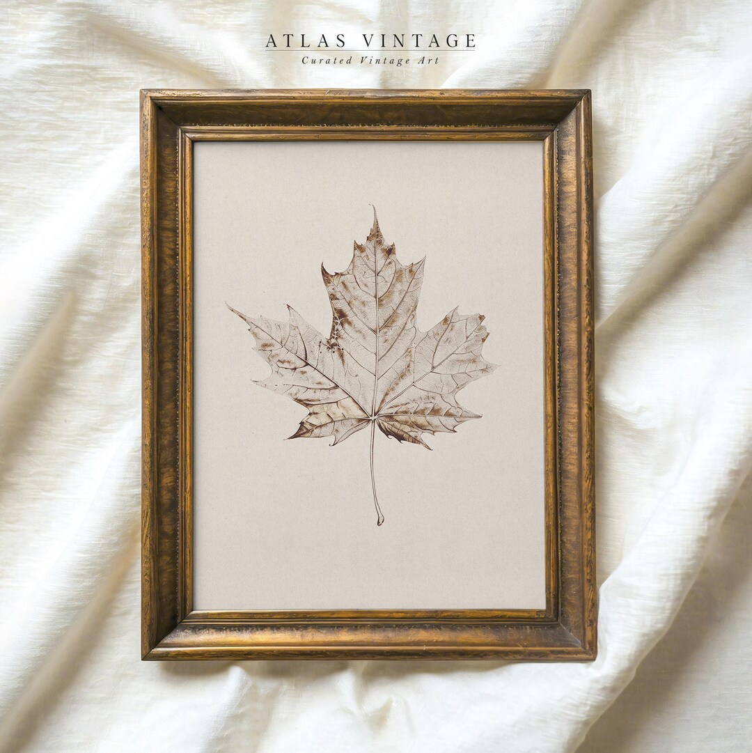 Vintage Fall Leaf Sketch Print | Neutral Rustic Autumn Decor | Maple ...
