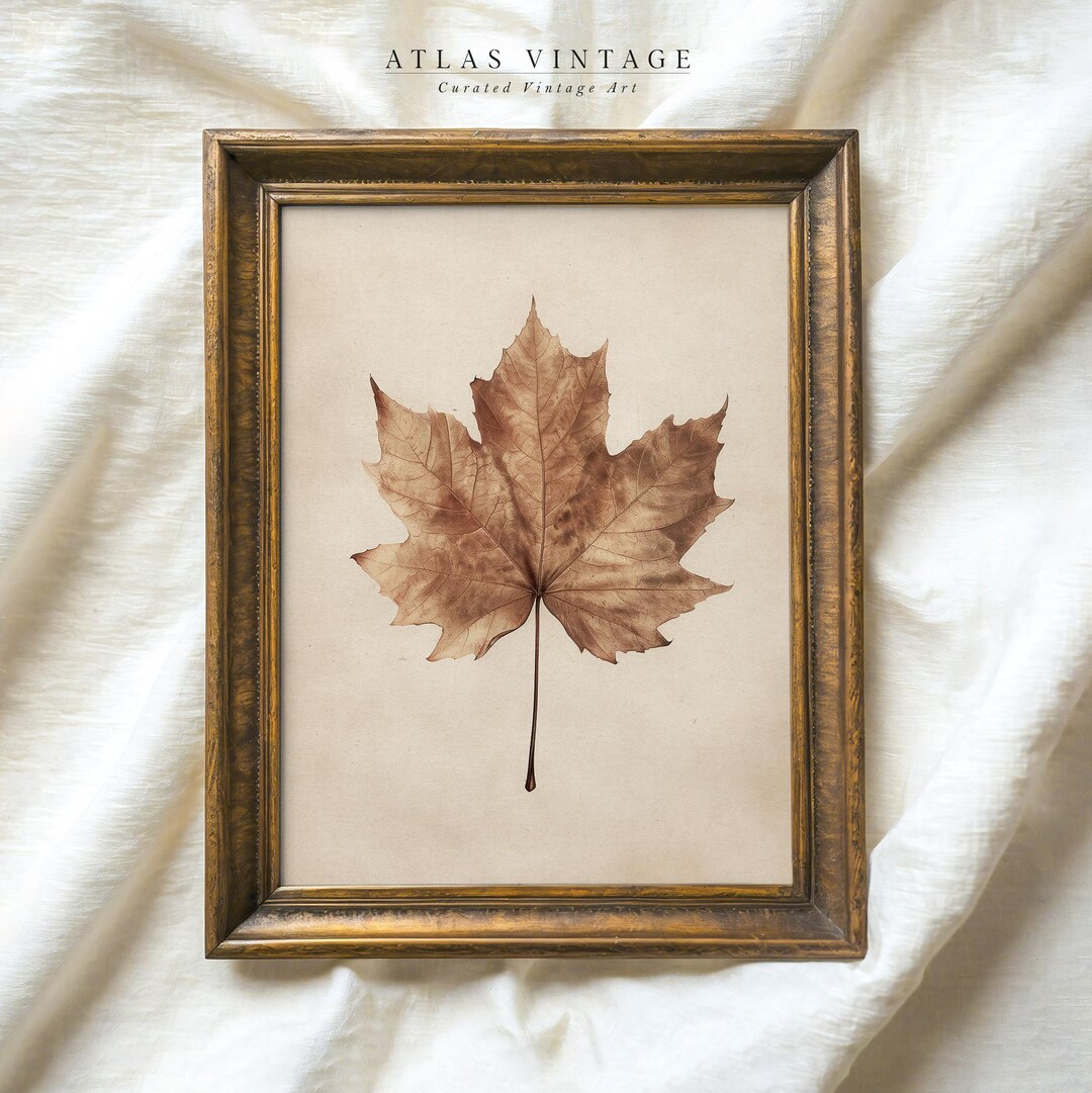 Vintage Fall Leaf Print | Neutral Rustic Farmhouse Autumn Decor | Maple ...
