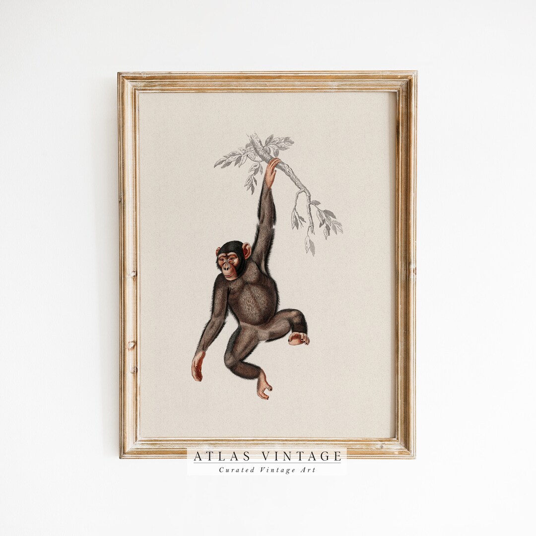 Antique Monkey Print | Vintage Nursery Painting | Safari Farmhouse Wall ...